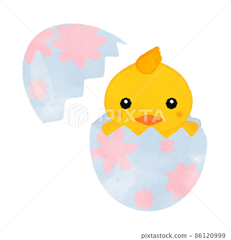 Illustration of a chick popping out of a floral... - Stock Illustration ...