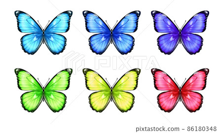 Butterfly 6 color set - Stock Illustration [86180348] - PIXTA