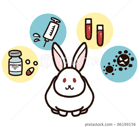 Research with experimental animal rabbits - Stock Illustration ...