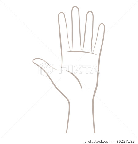 Female left palm - Stock Illustration [86227182] - PIXTA