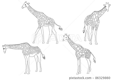 Giraffe line drawing simple real monochrome... - Stock Illustration ...