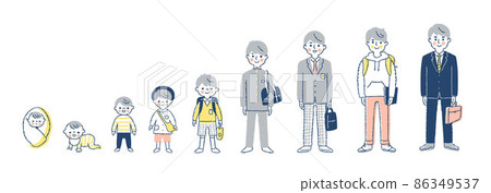 Male growth stage - Stock Illustration [86349537] - PIXTA