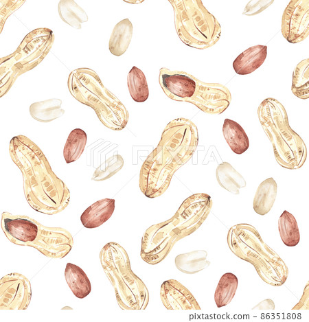 Seamless pattern of peanuts on white. Edible... - Stock Illustration ...