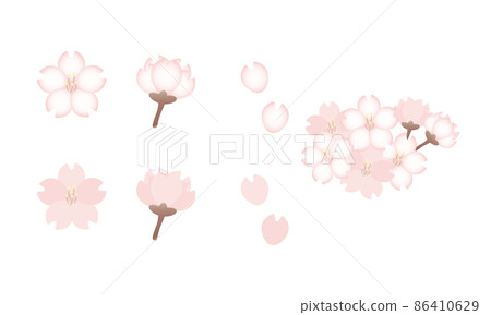Sakura parts set - Stock Illustration [86410629] - PIXTA