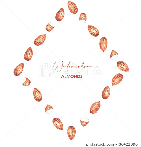 Frame design of almond nuts. Edible raw seed.... - Stock Illustration ...