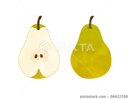 Western pear - Stock Illustration [86422398] - PIXTA
