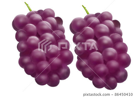 2 grapes - Stock Illustration [86450410] - PIXTA