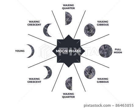 Moon Phases Labeled Diagram Moon Phase. Textured Surface Of The Moon.