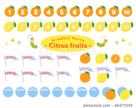 Citrus (orange / lemon) number heading / icon set - Stock Illustration ...