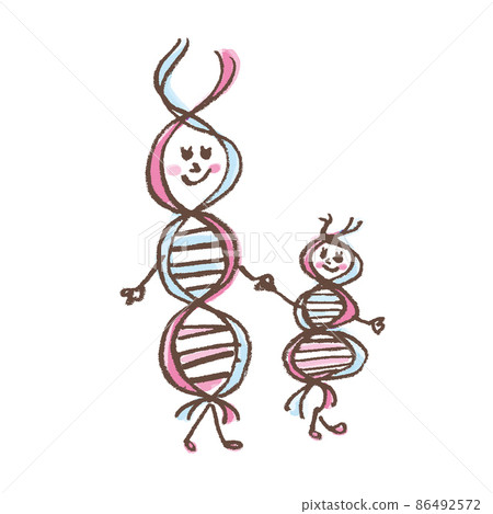 Parent and child with the same gene - Stock Illustration [86492572] - PIXTA