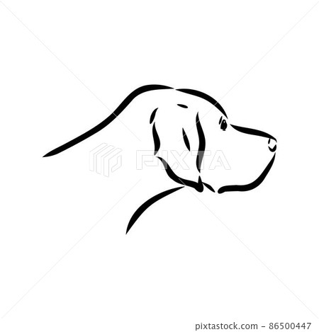 Decorative outline portrait of cute pointer dog... - Stock Illustration ...