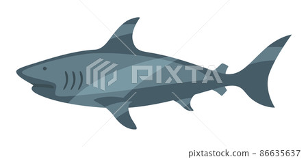 Stylized illustration of shark. Marine fauna... - Stock Illustration ...