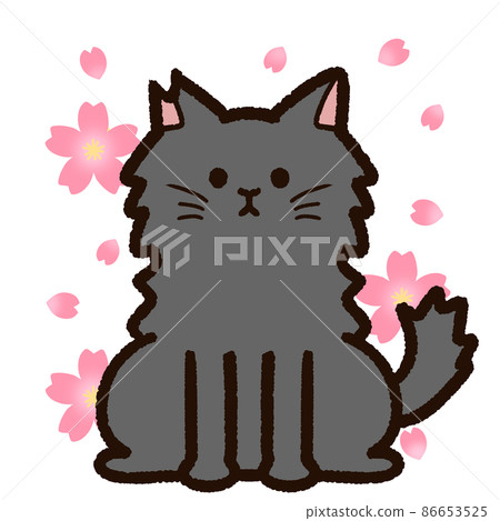 Sakura cat long-haired black cat - Stock Illustration [86653525] - PIXTA