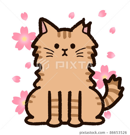Sakura cat long hair - Stock Illustration [86653526] - PIXTA
