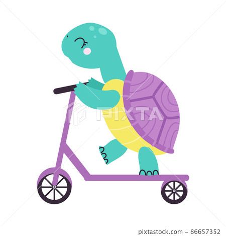 Turtle Scooter Pulse Performance Products Teenage Mutant Ninja Turtles