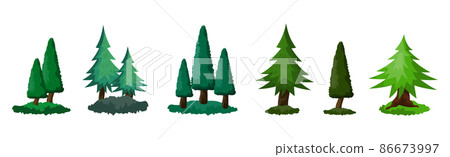 Set of 6 pcs spruce on a white background - Vector - Stock Illustration ...