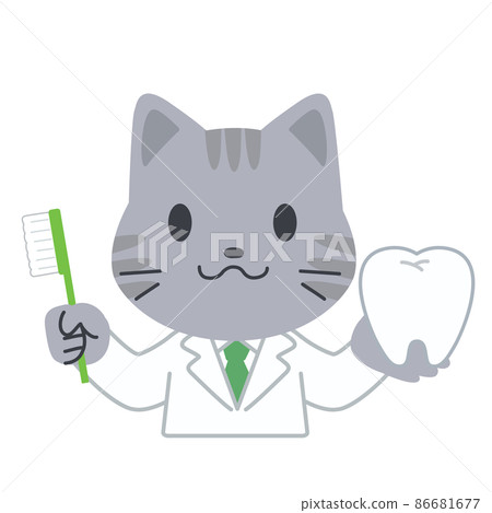 Cat dentist - Stock Illustration [86681677] - PIXTA