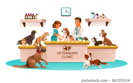 Veterinary Clinic Cartoon Advertisement - Stock Illustration [86705034 ...
