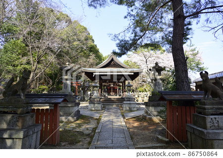 Yoshida Shrine Setsumatsusha Takenaka Inarisha... - Stock Photo ...