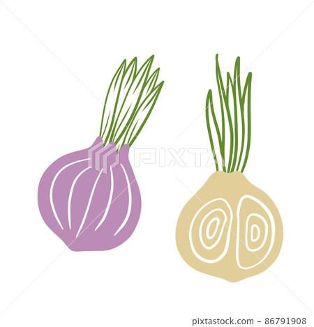 Onion in doodle style. Vegetable food and... - Stock Illustration ...
