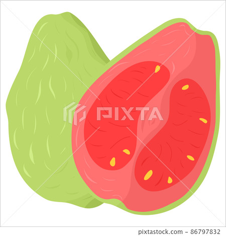 Cartoon illustration with colorful guava. Farm... - Stock Illustration ...