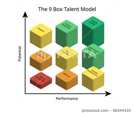 the 9 box talent model or the 9-box grid is a... - Stock Illustration ...