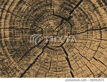 Log texture vector illustration.Wooden background. - Stock Illustration ...