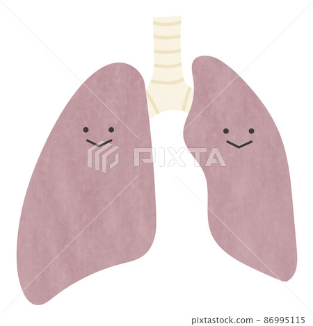 Illustration of smiling lungs - Stock Illustration [86995115] - PIXTA