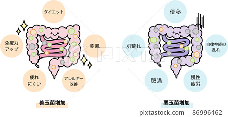 Illustration of intestinal environment - Stock Illustration [86996462 ...