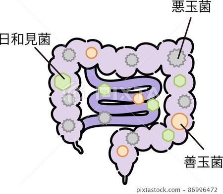 Illustration of intestinal environment - Stock Illustration [86996472 ...