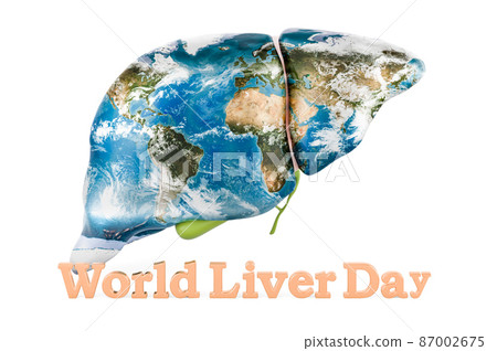 World liver day concept. Human liver with Earth...-插圖素材 [87002675 ...