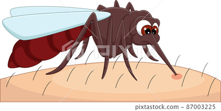 cartoon mosquito biting human skin - Stock Illustration [87003225] - PIXTA