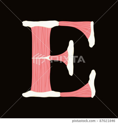 Vector muscle letter.Art font. - Stock Illustration [87021846] - PIXTA