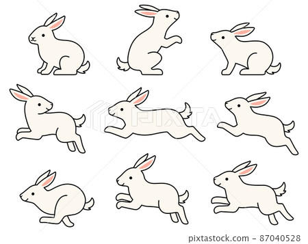 White rabbit illustration set - Stock Illustration [87040528] - PIXTA