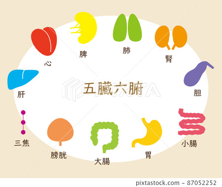 Colorful and fun icons of five viscera and six... - Stock Illustration ...
