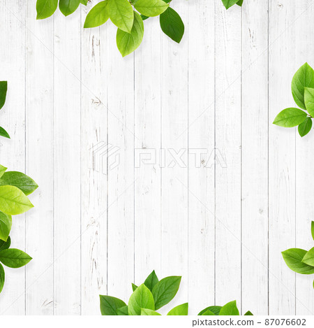 White wood grain and leaf background material - Stock Illustration ...