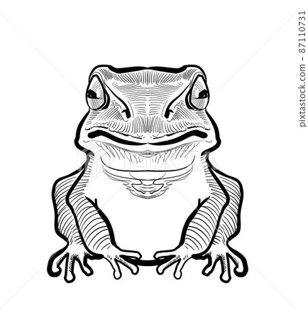 Frogs that stand out-front view - Stock Illustration [87110731] - PIXTA
