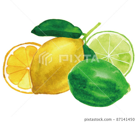 Lemon and lime watercolor hand-drawn illustration - Stock Illustration [87141450] - PIXTA