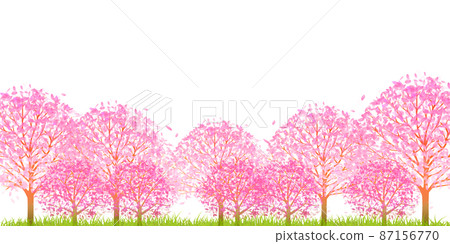 Sakura spring flower background - Stock Illustration [87156770] - PIXTA