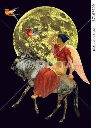 Taurus collage - Stock Illustration [87167699] - PIXTA