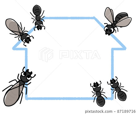 Cute black ants and frame background - Stock Illustration [87189716 ...