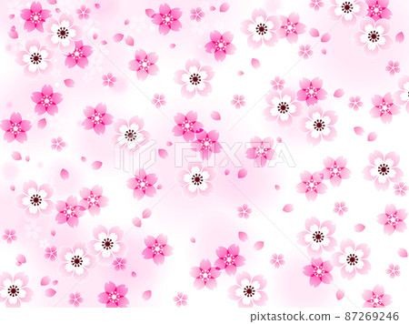 Cherry blossom pattern background - Stock Illustration [87269246] - PIXTA