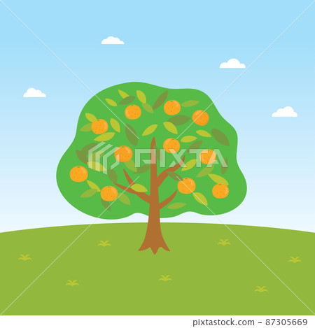 Tangerine Tree Clip Art