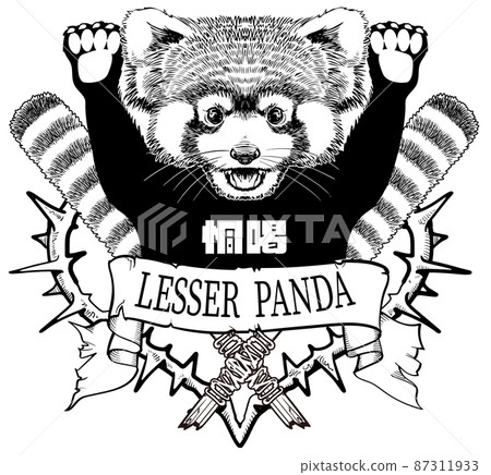 Intimidation of a red panda - Stock Illustration [87311933] - PIXTA