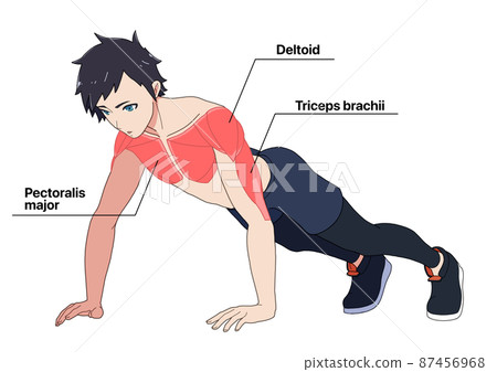 Names of men and muscles doing push-ups (English) - Stock Illustration ...