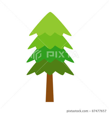 Illustration of Sugi (sugi) tree - Stock Illustration [87477657] - PIXTA