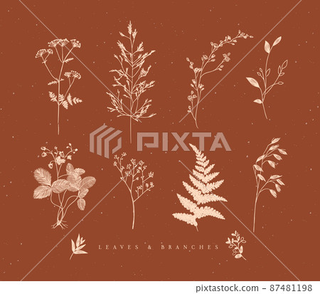 Leaves and branches brown color - Stock Illustration [87481198] - PIXTA