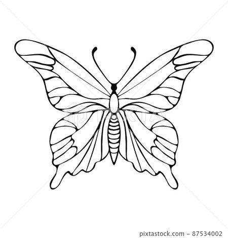 Butterfly Drawing Outline