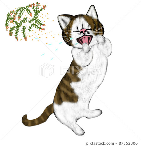 Cat sneezing with hay fever - Stock Illustration [87552300] - PIXTA
