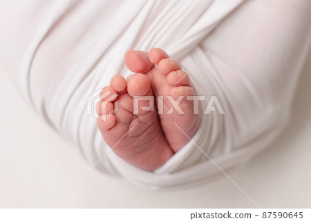Small beautiful legs of a newborn baby in the... - Stock Photo ...